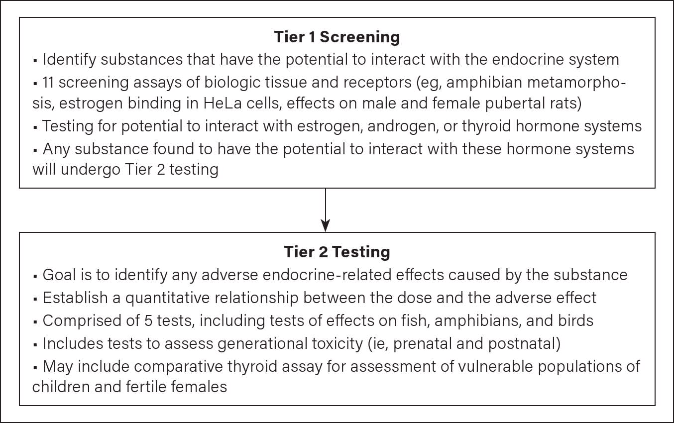 Endocrine-Disrupting Chemicals - Environment and Health | FP Essentials